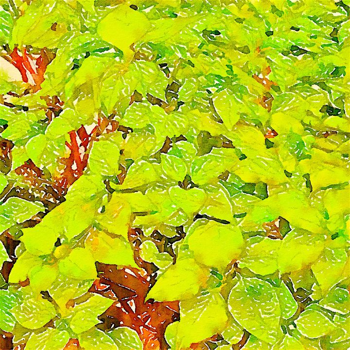 Repetitive plants - Botanical Art - Sensation Art - Digital Art & AI ...