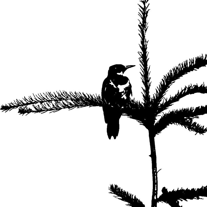 Songbird in a tree - Grafx.One - Drawings & Illustration, Animals ...