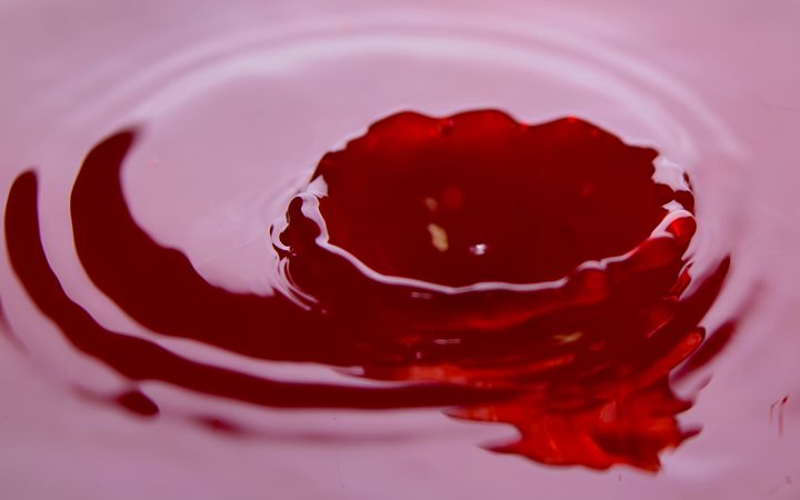 Jello Wobble - Rocket Cottage Photography - Photography, Still Life ...