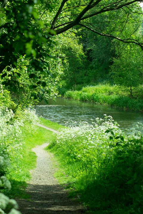 View from the River Bank Colour - Rocket Cottage Photography ...