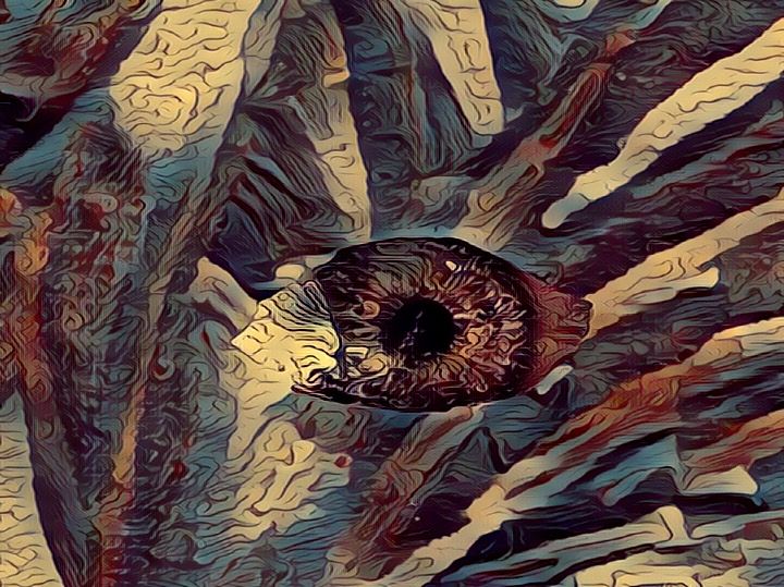 Shadow - Digital Art & AI, Paintings & Prints, Photography