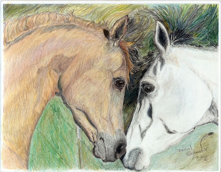 Soul Mate - Daniel Eastwood - Drawings & Illustration, Animals, Birds ...