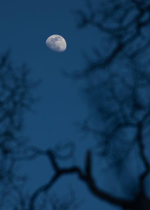 Early Spring Moon - RSC Studio - Photography, Astronomy & Space, Moon ...