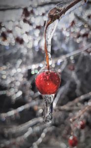 Keri McNamara - Photography