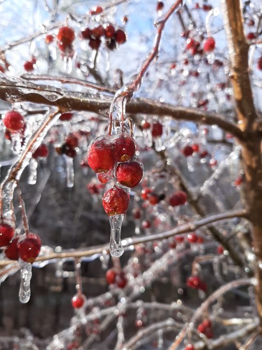 Keri McNamara - Photography