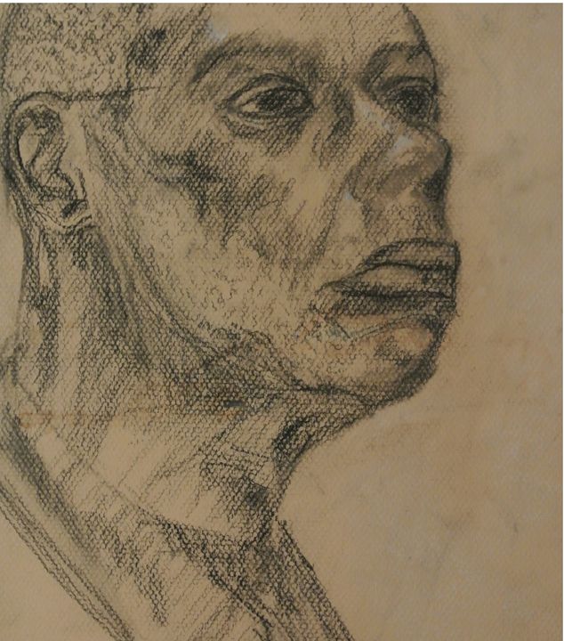 Vida Artista Design - Drawings & Illustration, Paintings & Prints