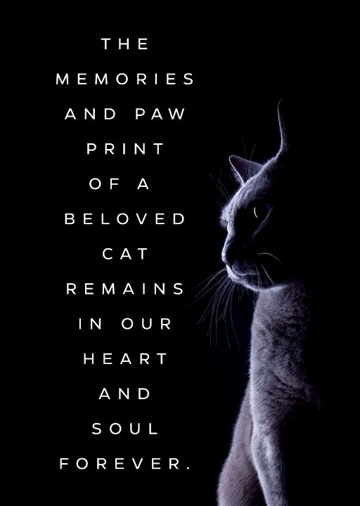 Cat Art Minimalist Inspirational - Cool Posters For All - Paintings ...