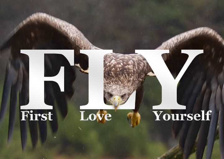 Harpy Eagle Quotes Harpy Eagles In Panama Animal Kingdom Related