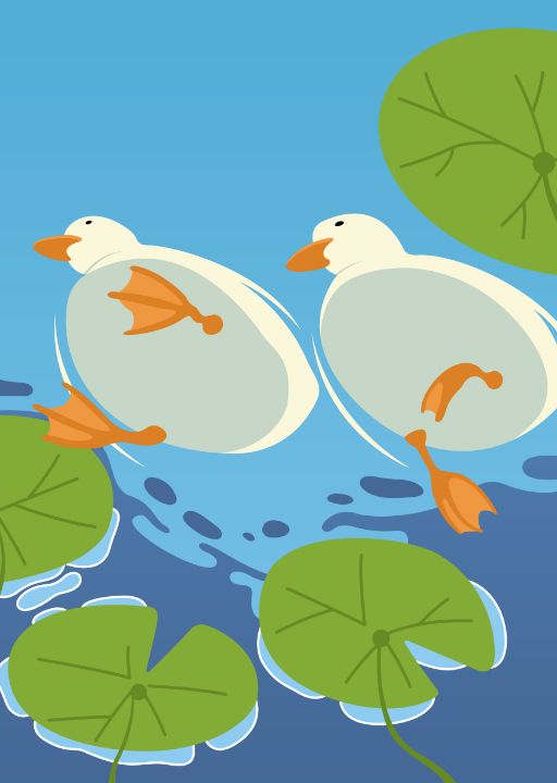 Funny Duck Couple Swimming On A Pond - Cool Posters For All - Digital ...