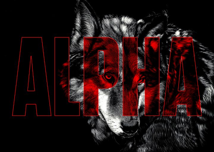 Best Inspirational Quote Alpha - Cool Posters For All - Digital Art ...