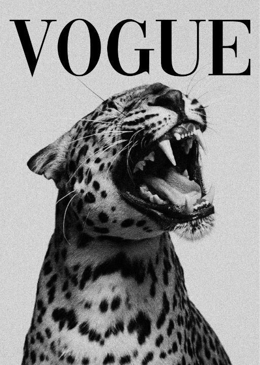 Leopard Vogue Fashion Poster Art - Cool Posters For All - Drawings ...