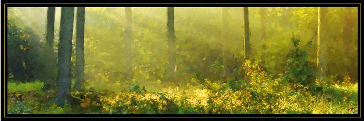 A woodland scene close to Luscombe - Good Art Direct - Paintings ...