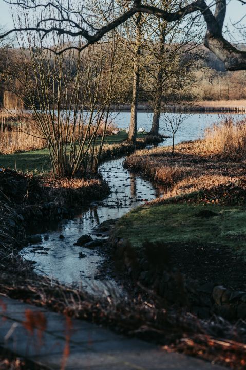 little stream - By Deedee - Photography, Landscapes & Nature, Lakes ...