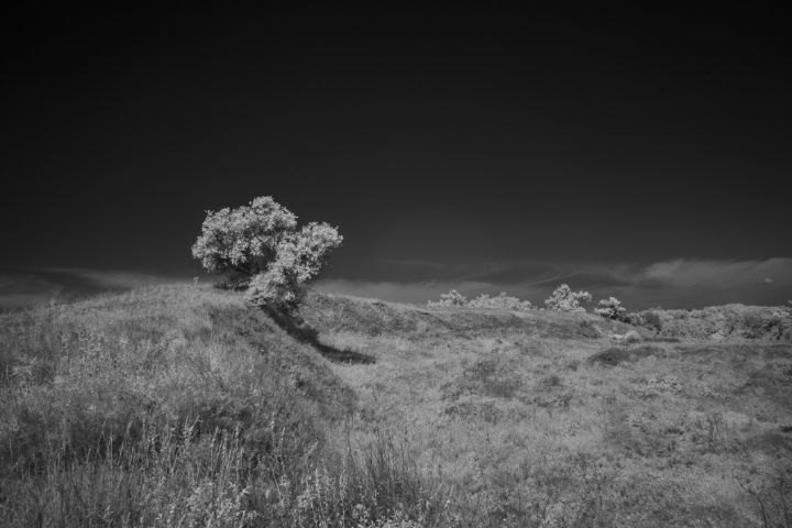 Trakhtemirov - Serg Poznansky - Photography, Landscapes & Nature, Other ...