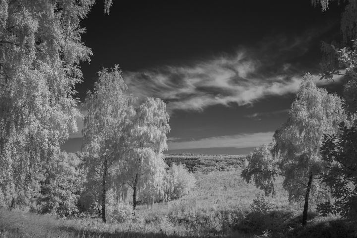 Trakhtemirov - Serg Poznansky - Photography, Landscapes & Nature, Other ...