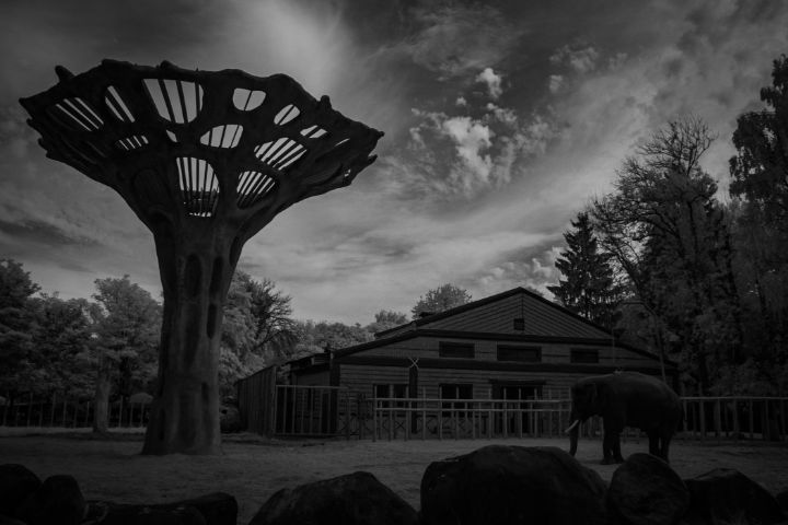 infrared landscapes - Serg Poznansky - Photography, Landscapes & Nature ...