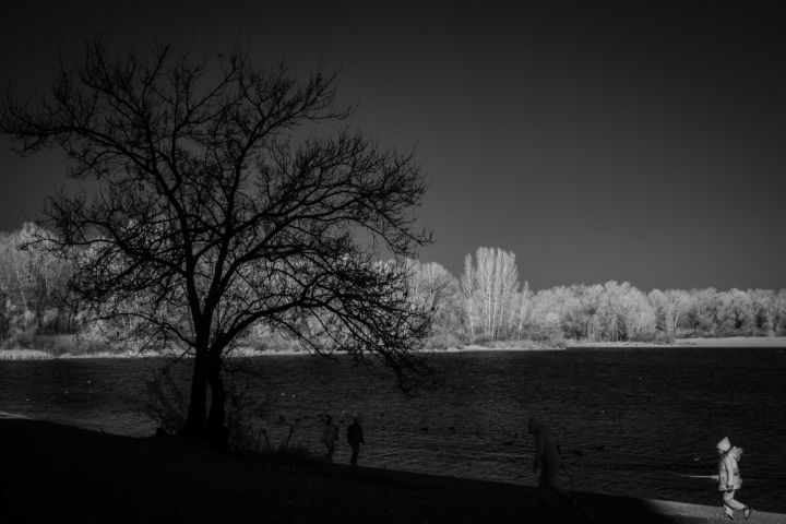 infrared landscapes - Serg Poznansky - Photography, Landscapes & Nature ...