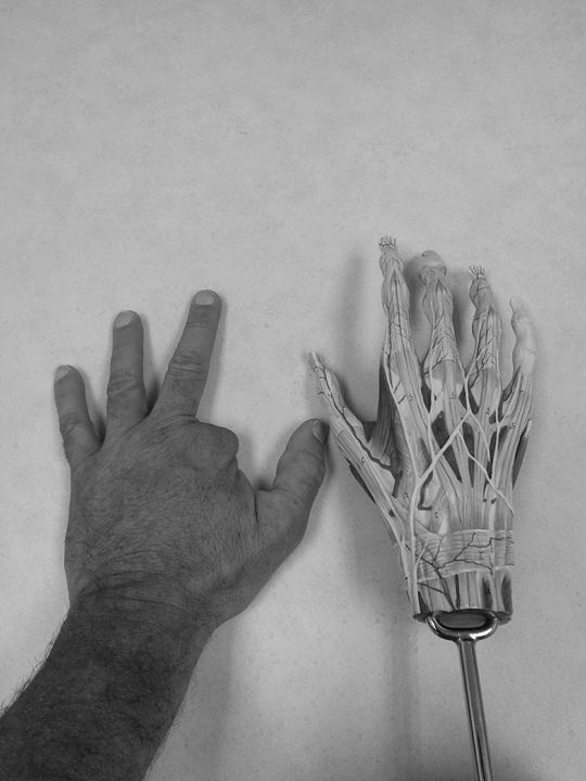 "Yes, the model shows five" - Photo - Photography, Humor & Satire ...