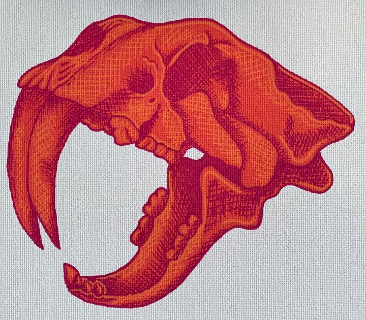 Sabre Tooth Tiger - A_Lottie_Of_Art - Drawings & Illustration, Animals ...
