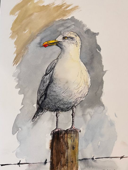 Seagull on Piling - Rob Hubert Watercolors - Paintings & Prints ...