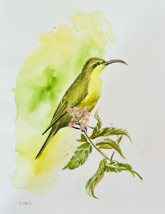 Sunbird - Rob Hubert Watercolors - Paintings & Prints, Animals, Birds ...