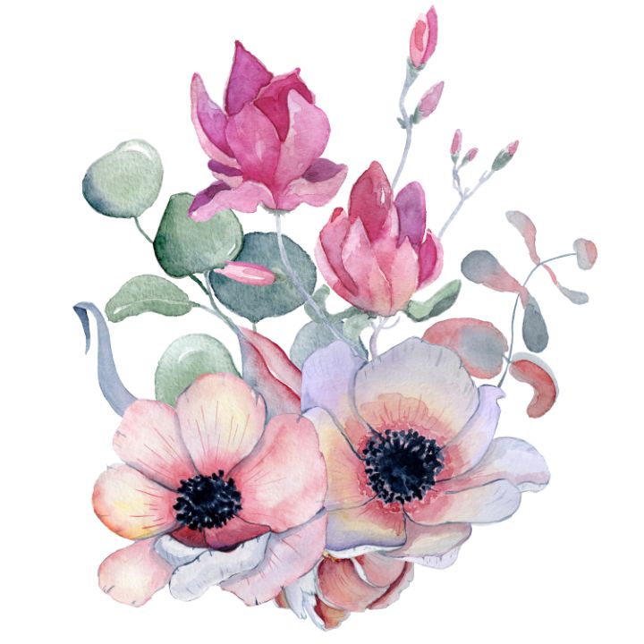 Pink and White Flowers - Watercolor clipart - Drawings & Illustration ...