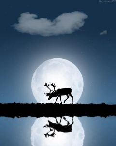 My_visuals1892 - Digital Art & AI