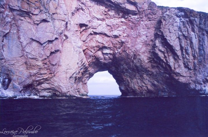 On the Way to Bonaventure Island - Palumbo Photography - Photography ...