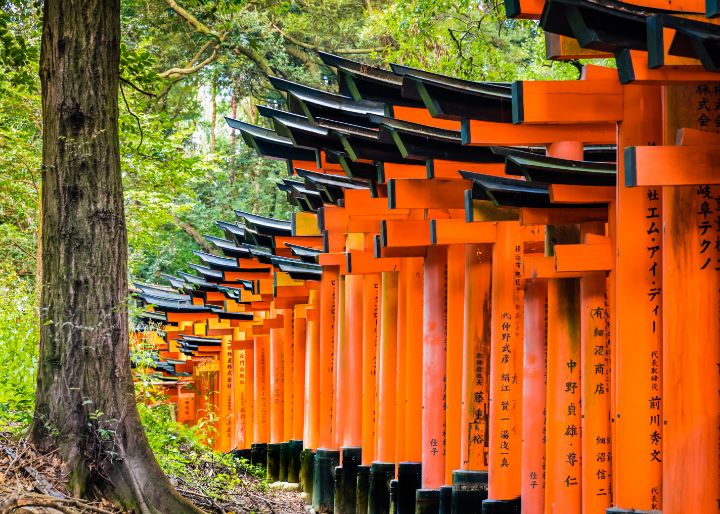 Outside the Senbon Torii - Lyl Dil Creations - Photography, Places ...