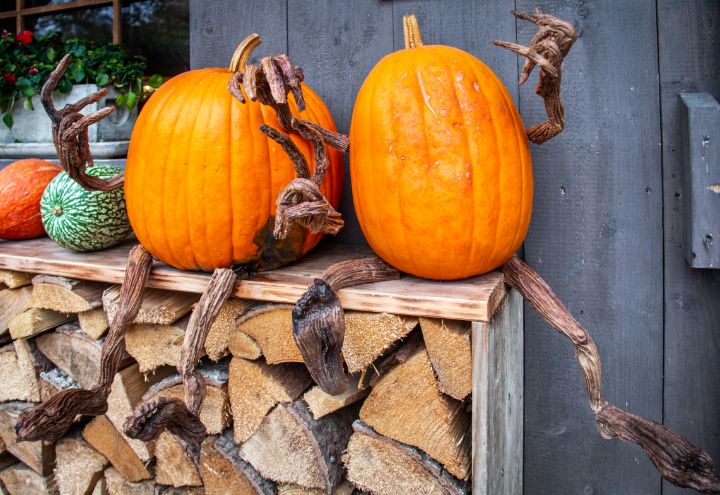 Welcoming Pumpkins - Lyl Dil Creations - Photography, Fantasy & Mythology, Other Fantasy ...