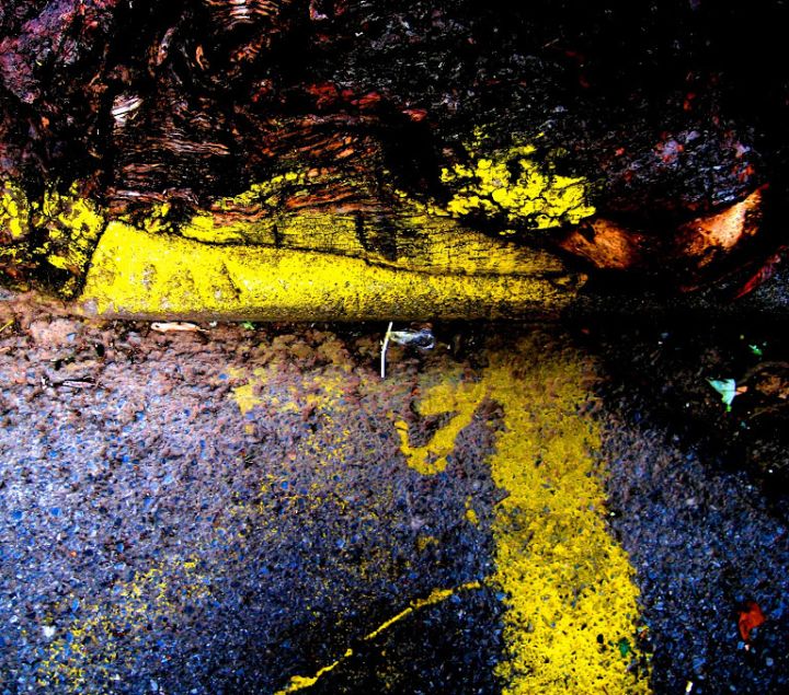 Dalet - David Sears - Photography, Abstract, Other Abstract - ArtPal