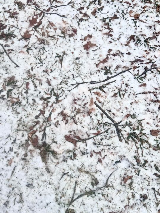 patterns in the snow - David Sears - Photography, Abstract, Landscape ...