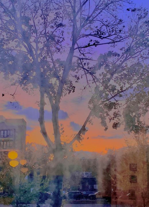 View of Ocean Parkway - David Sears - Photography, Buildings ...