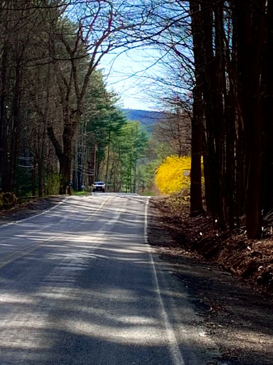 Spring Drive - David Sears - Photography, Landscapes & Nature, Paths ...