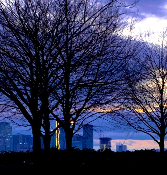 View from the West Side Drive - David Sears - Photography, Places ...