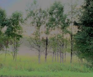 David Sears - Photography, Paintings & Prints