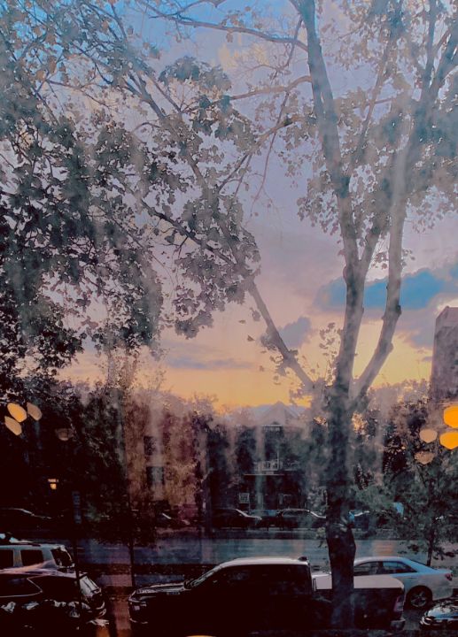 View of Ocean Parkway - David Sears - Photography, Buildings ...