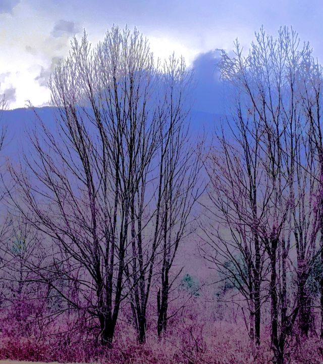 My Tremper NY - David Sears - Photography, Landscapes & Nature ...