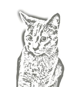 Hails - Digital Art & AI