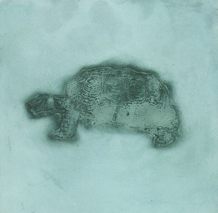Turtle - Matthew Kelly - Paintings & Prints, Animals, Birds, & Fish ...