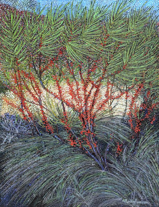 BIRD-BEAK HAKEA & ANCIENT SYMBOLISM - Sally Harrison's Dot Paintings ...