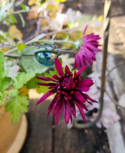 Tim Andrews Photography - Photography