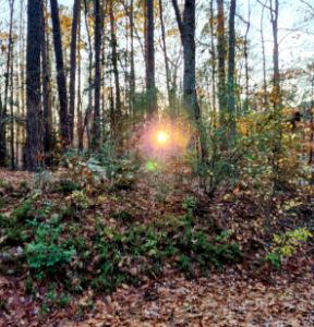 Tim Andrews Photography - Photography