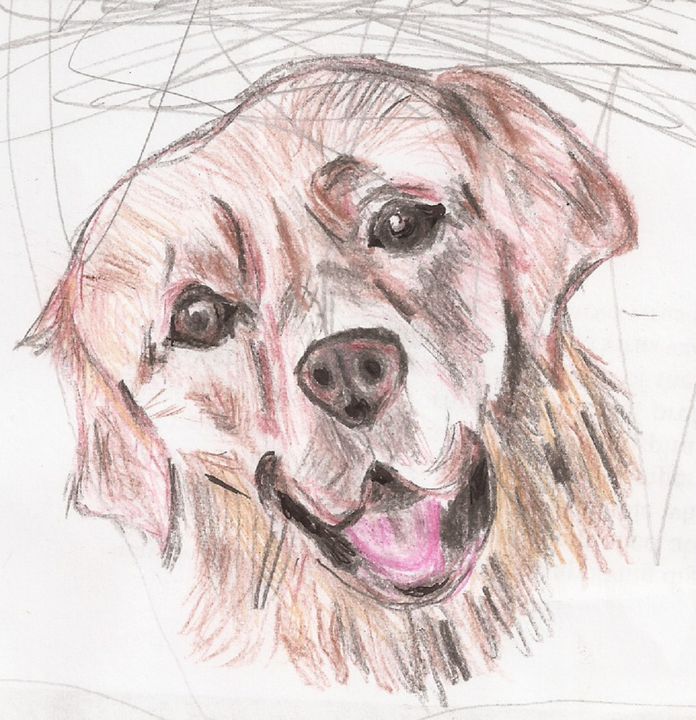 Golden retriever dog - Tony Antoniou - Paintings & Prints, Animals ...