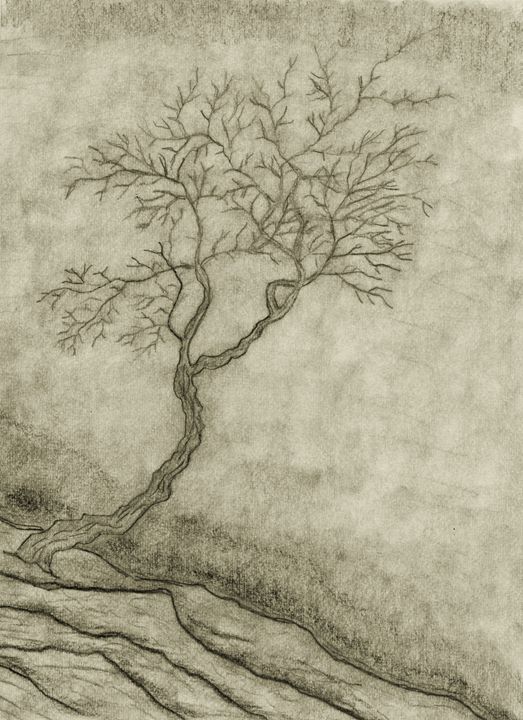 ghost tree - TSMITH - Drawings & Illustration, Landscapes & Nature ...