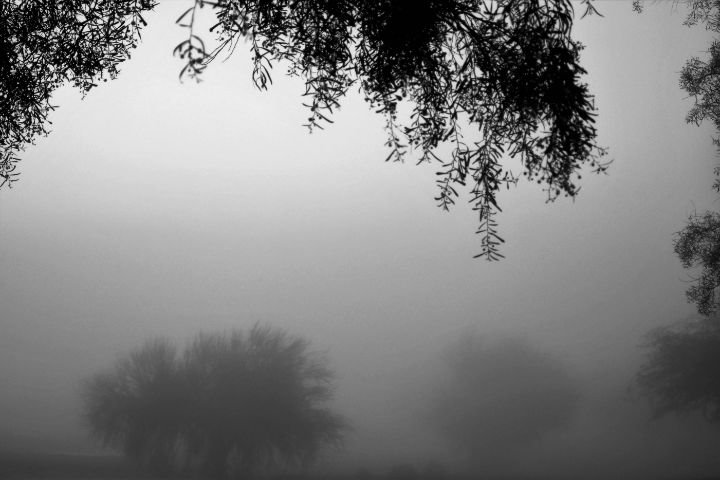 Foggy Day - Desertcoast Studios - Photography, Landscapes & Nature ...