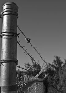 Joshua Barlow - Photography