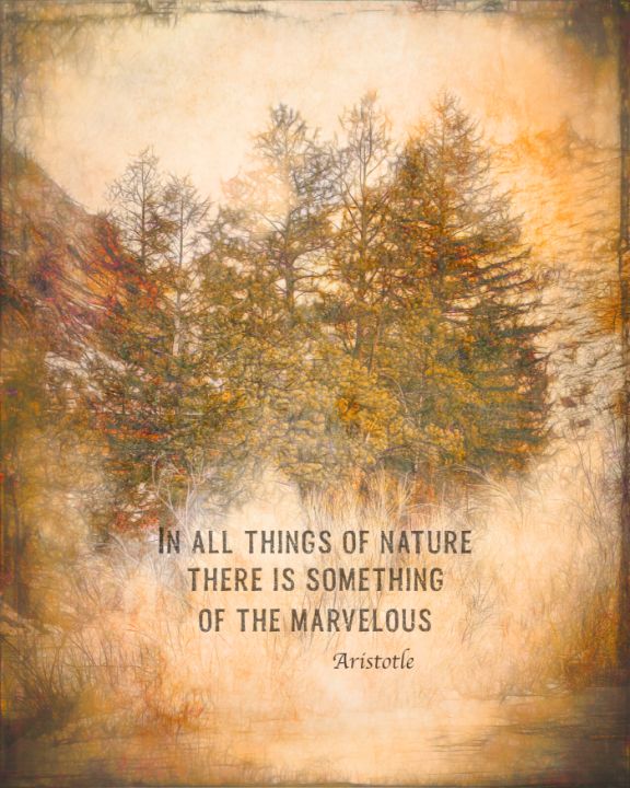 Marvelous Nature Classic Quote - Ann Powell Art - Digital Art & AI ...