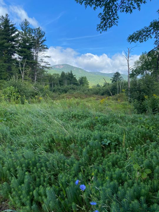 Keene Valley - Mazie’s MazingArt - Photography, Landscapes & Nature ...