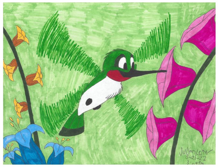 Swifty the Hummingbird - Julian "Cool Jules" Lester - Drawings ...